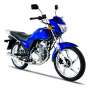 DM125S | Motomundo
