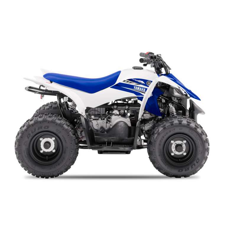 Raptor 50 - Motomundo