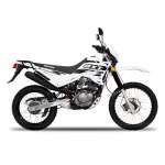GXT-250R | Motomundo
